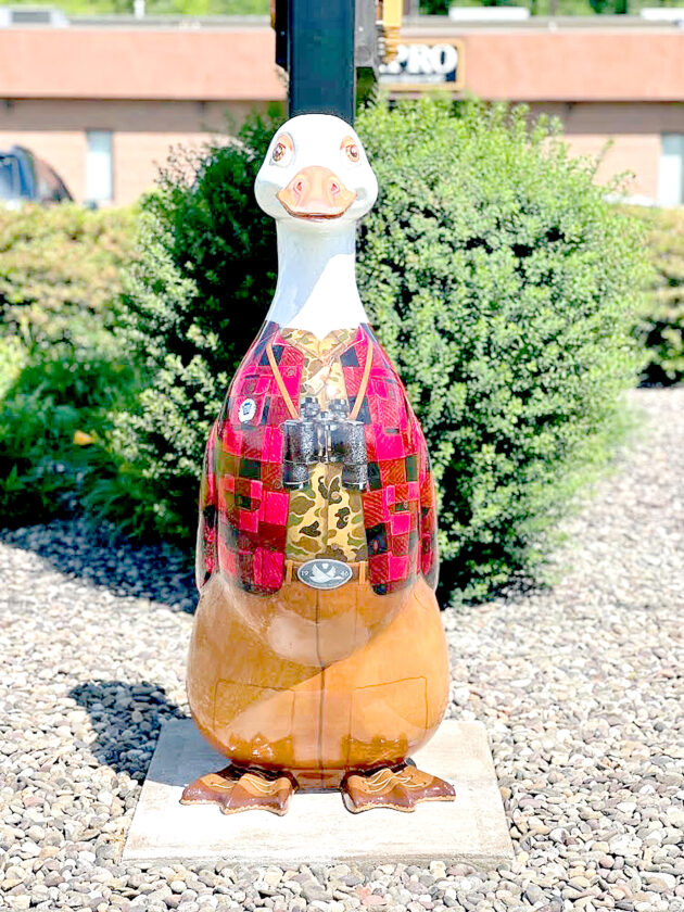 FOXPRO lands a goose of legend | News, Sports, Jobs - The Sentinel